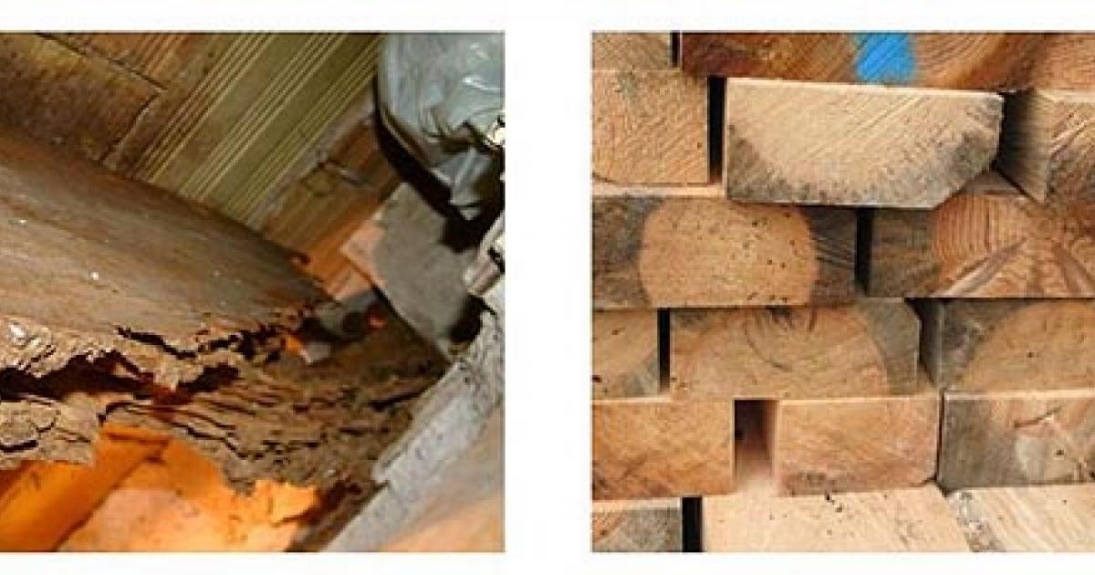 El proyecto WALL4WOOD mejorará la protección y estabilidad de la madera ...
